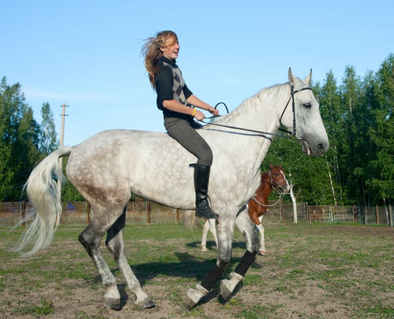 Guide: How to Ride a Horse with Just a Halter – Equestrian Space