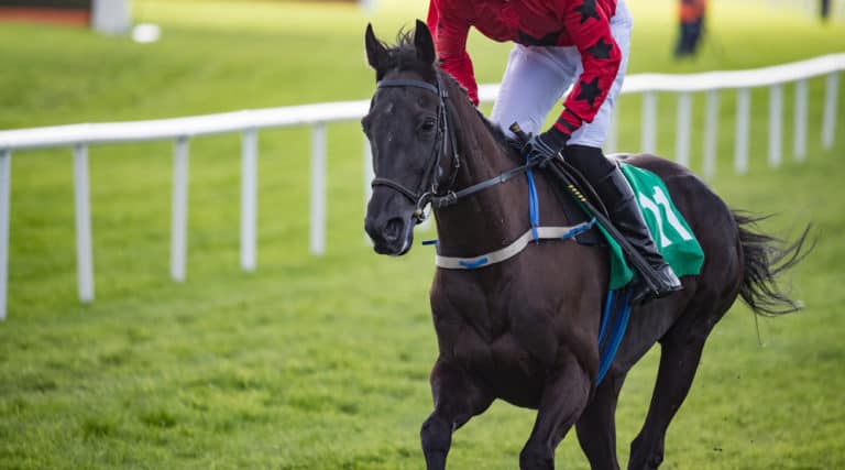 The Ethics of Horse Racing: Tradition or Trouble? – Equestrian Space