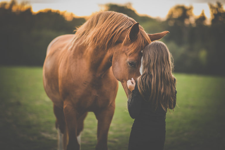 Rethinking Breeding: Ethics, Responsibility, and the Future of Horses ...
